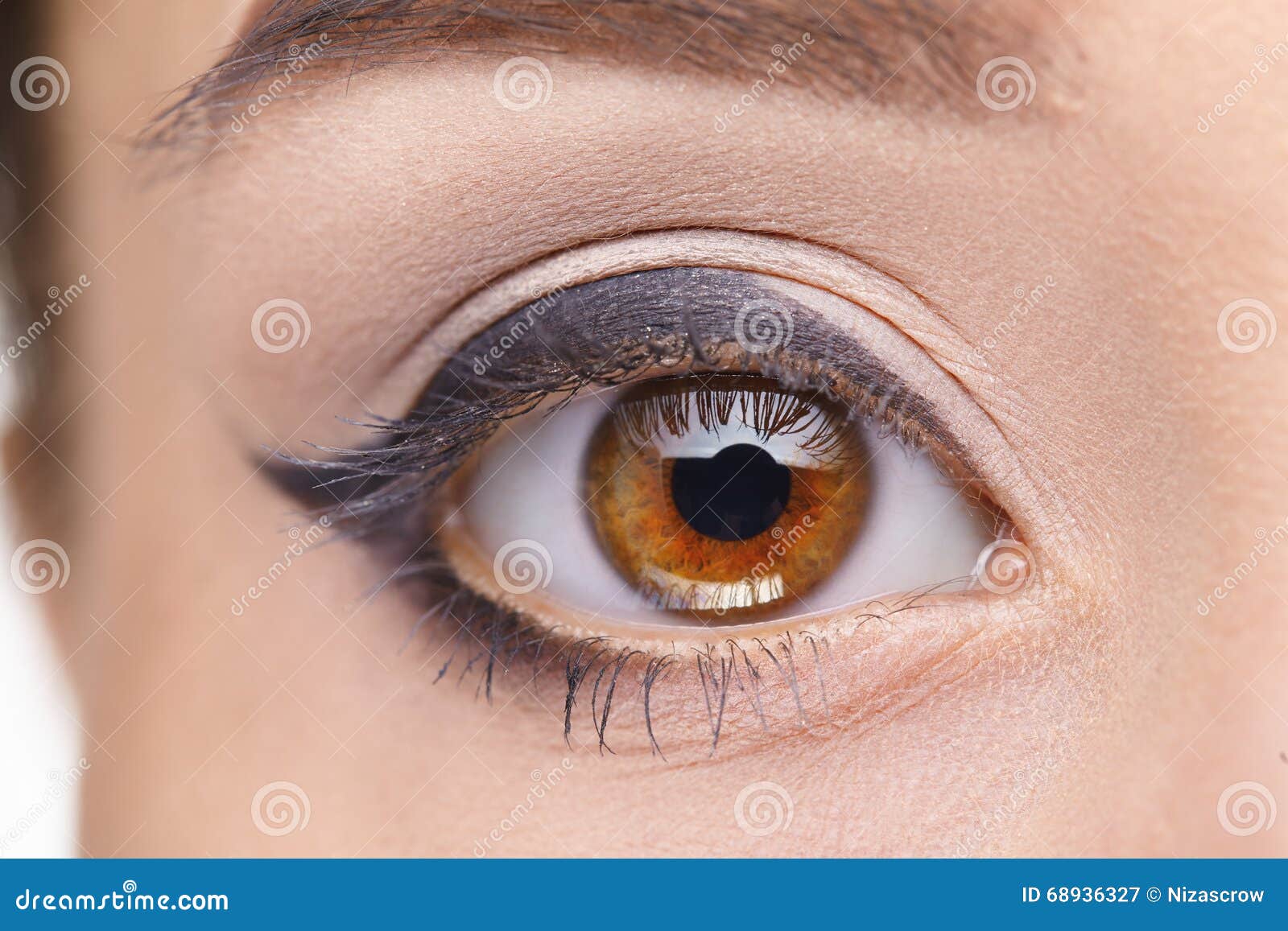 Macro Image of Human Eye. Woman Eye Stock Image - Image of eyebrow ...