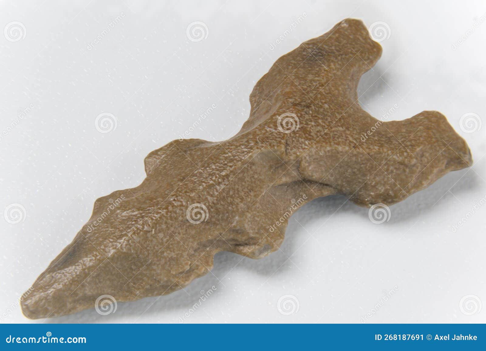Macro Image of an Original Arrowhead from the Paleolithic Age Stock ...
