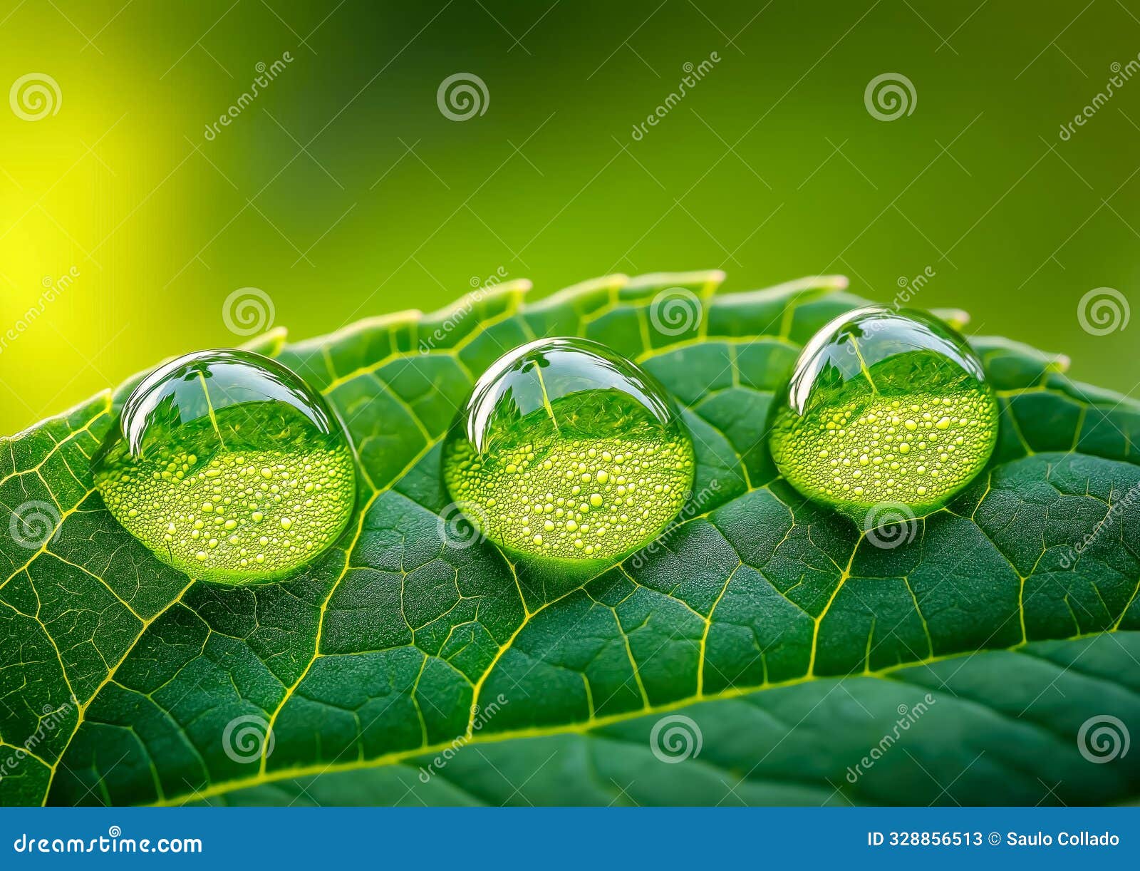 Macro Of Three Drops Of Transparent Liquid Merge Into One With Bubbles ...