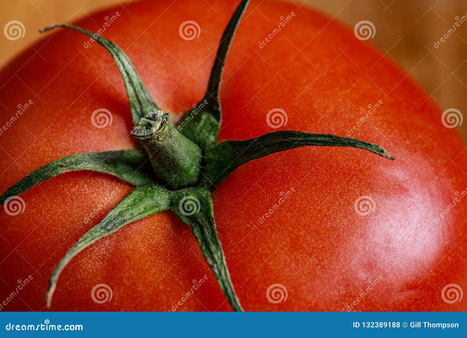 Macro Image of a Tomato Top Around the Stem with it`s 6 Point Le Stock ...
