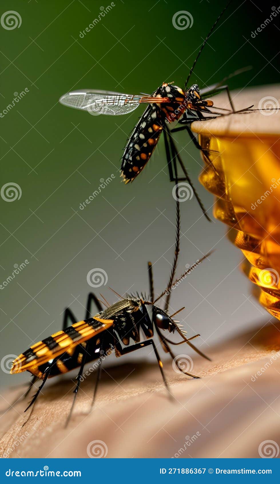 Macro Image of Two Mosquitos and Amber Stock Illustration ...