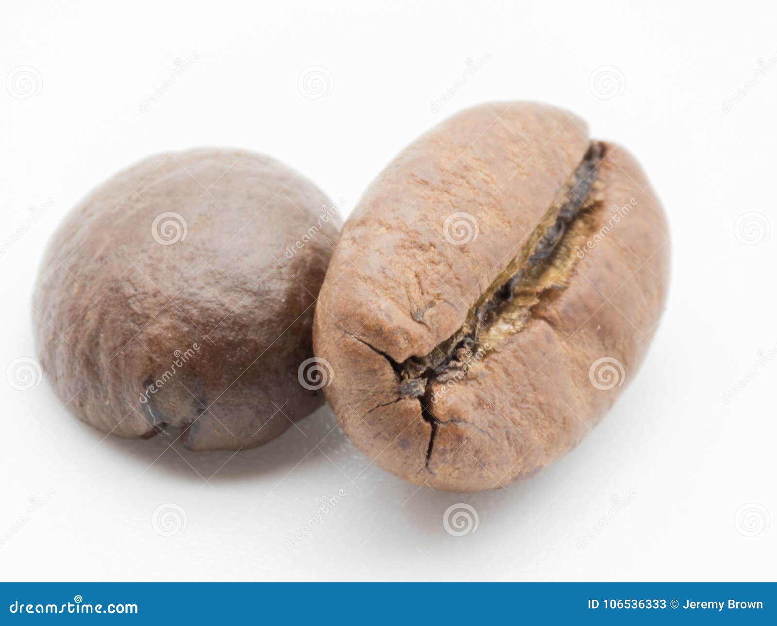 Isolated coffee beans stock image. Image of fresh, delicious - 106536333