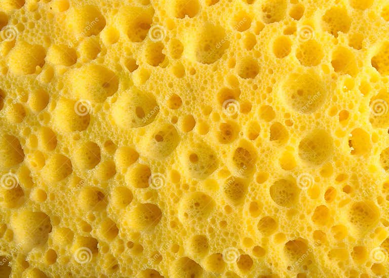 Macro Image of a Yellow Sponge Surface that Looks Soft and Clean Stock ...