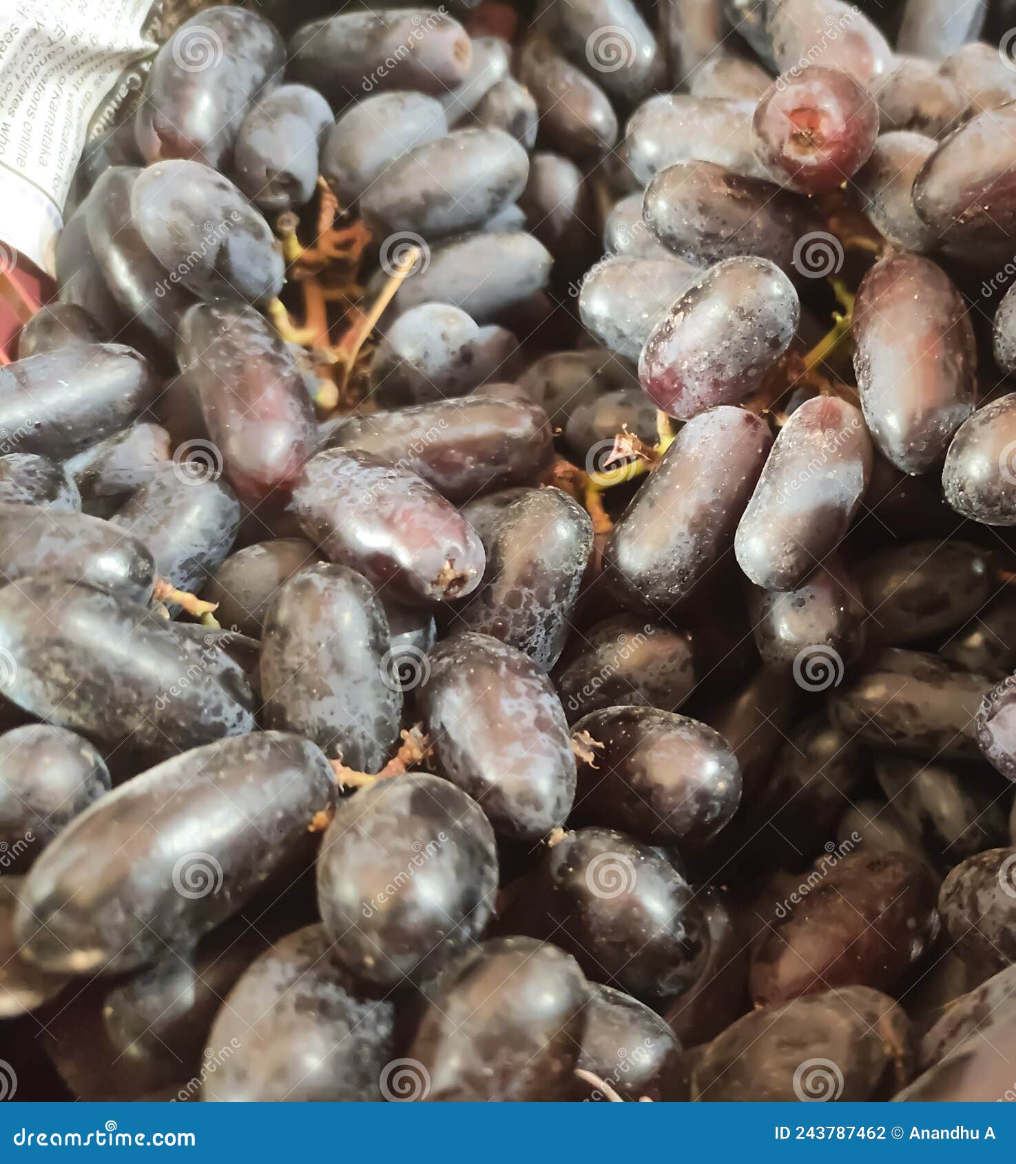Macro imagem da uva preta foto de stock. Imagem de orgânico - 243787462