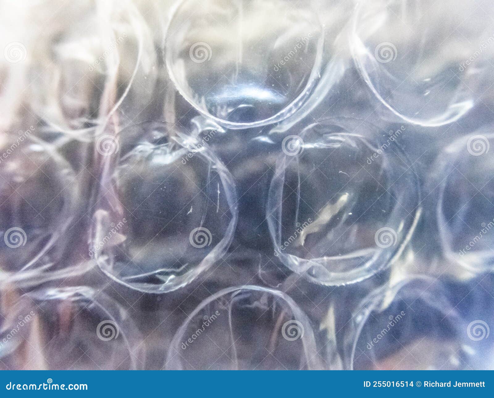 Macro Impose of Bubble Wrap Showing Individual Cells Stock Photo ...