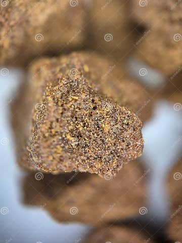 Macro of an Instant Coffee Bean Under a Microscope Stock Image - Image ...