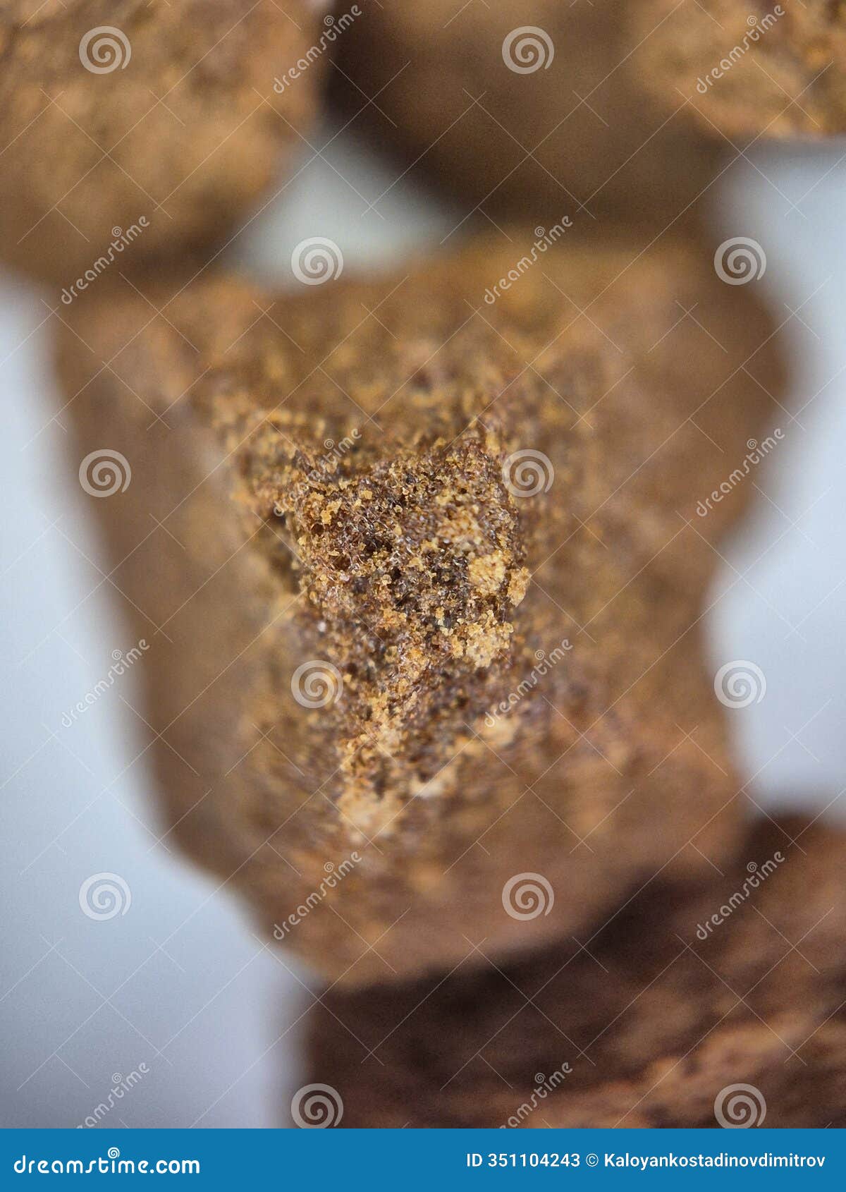 Macro of an Instant Coffee Bean Under a Microscope Stock Image - Image ...