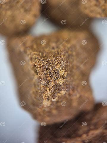 Macro of an Instant Coffee Bean Under a Microscope Stock Image - Image ...
