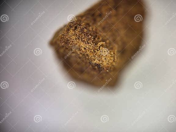 Macro of an Instant Coffee Bean Under a Microscope Stock Image - Image ...