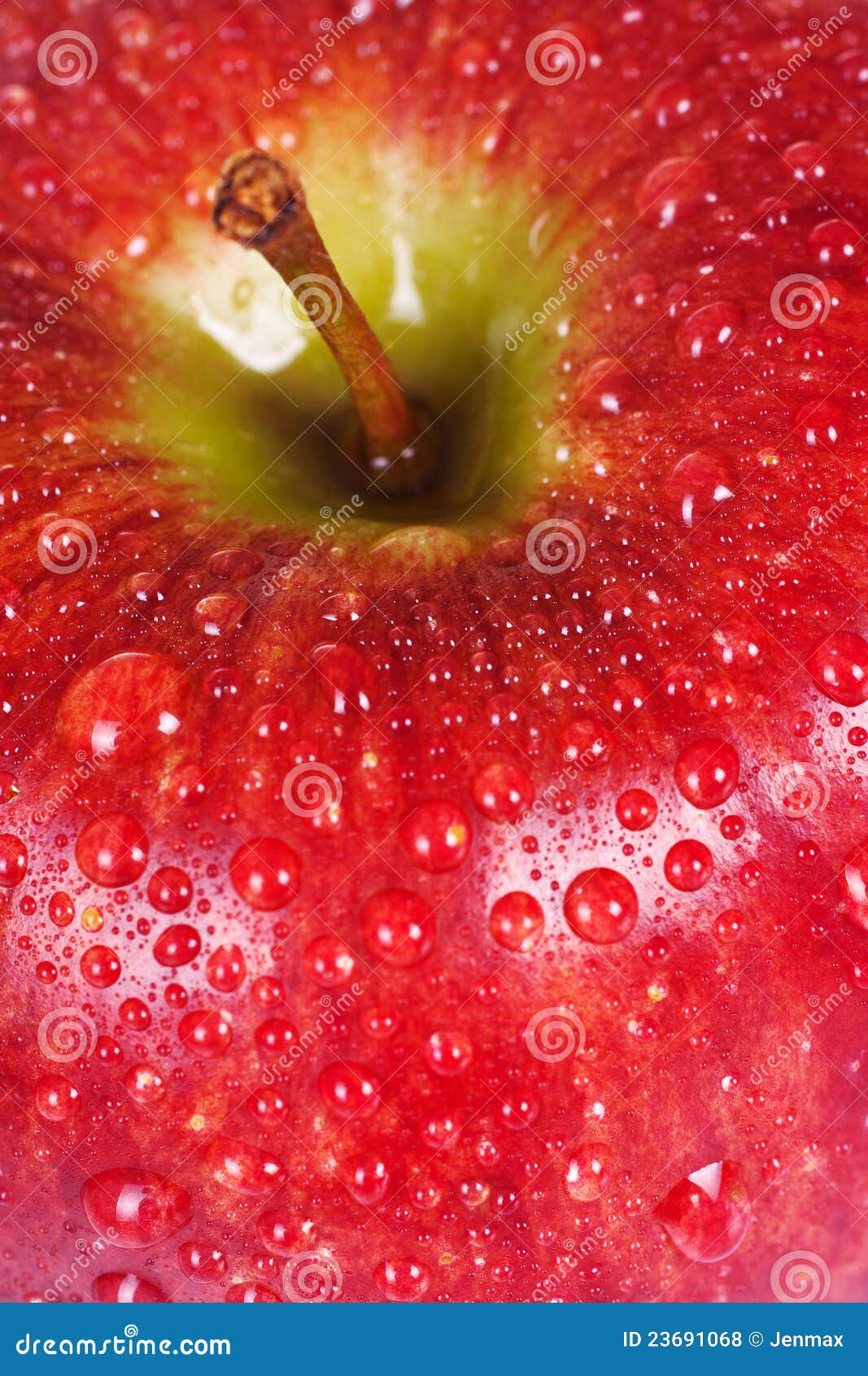 Macro juicy red apple stock photo. Image of health, juice - 23691068