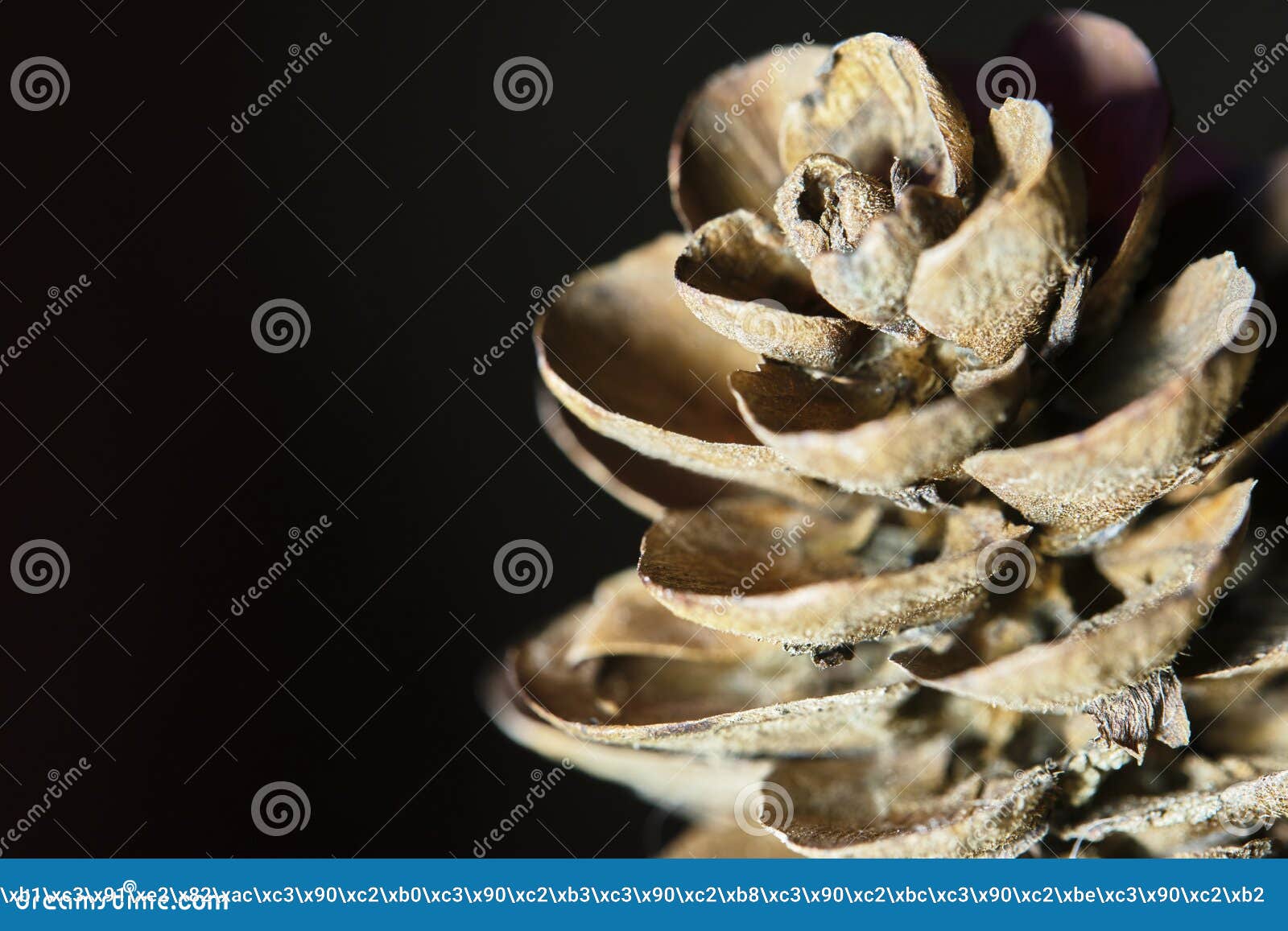 Macro leaf bumps stock photo. Image of beauty, bump - 180868482