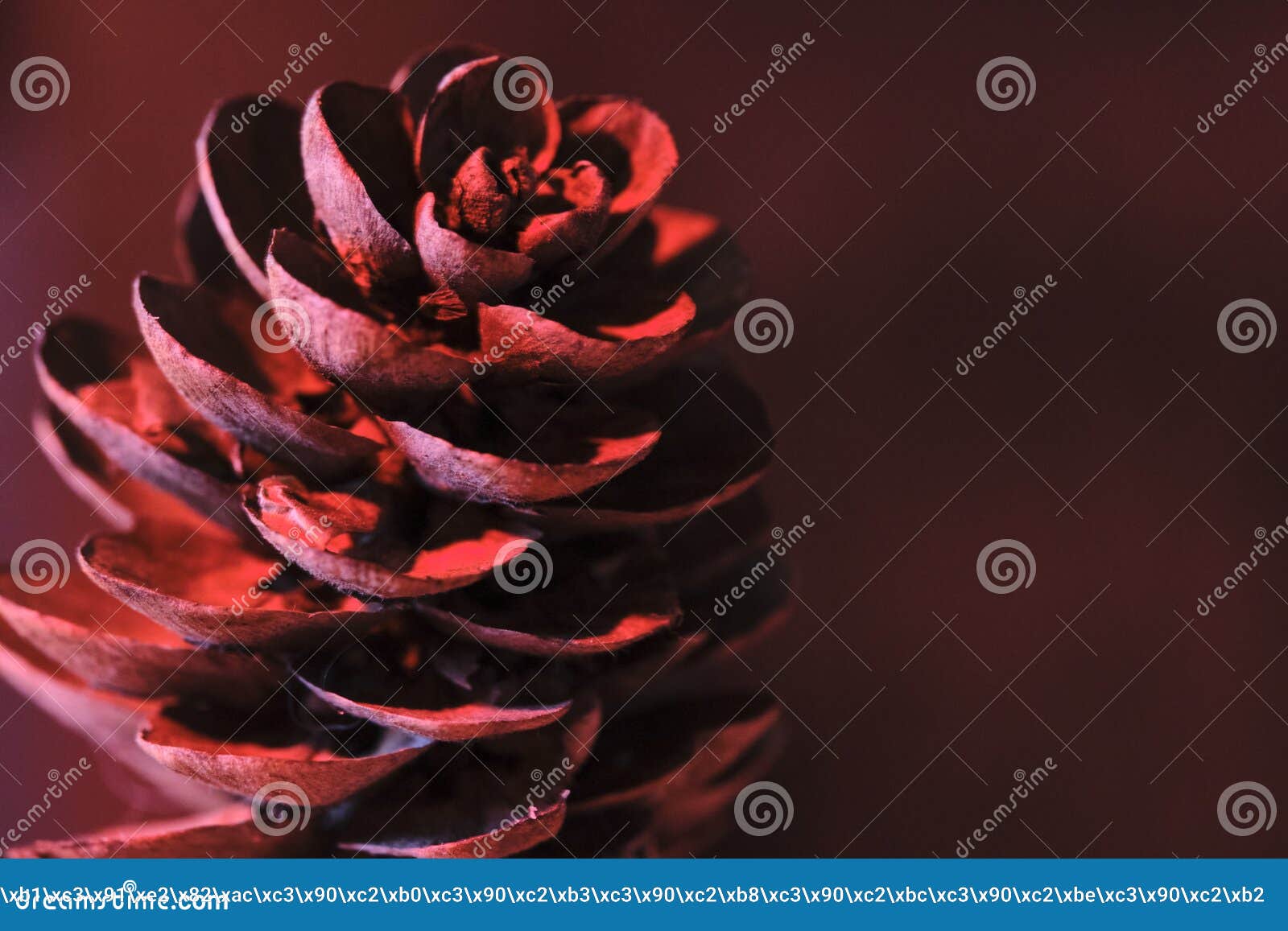 Macro leaf bumps stock image. Image of branch, environment - 180868305