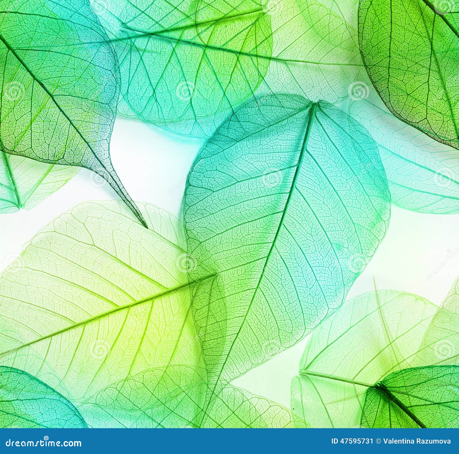 Macro Leaves Seamless Texture Stock Image - Image of foliage, element ...