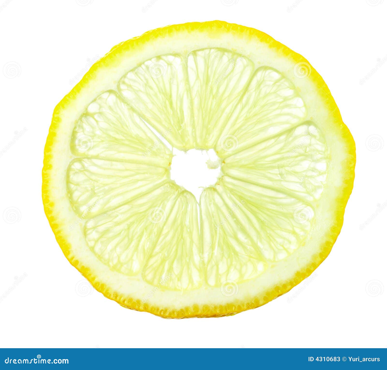 Macro of lemon slice stock image. Image of macro, detail - 4310683