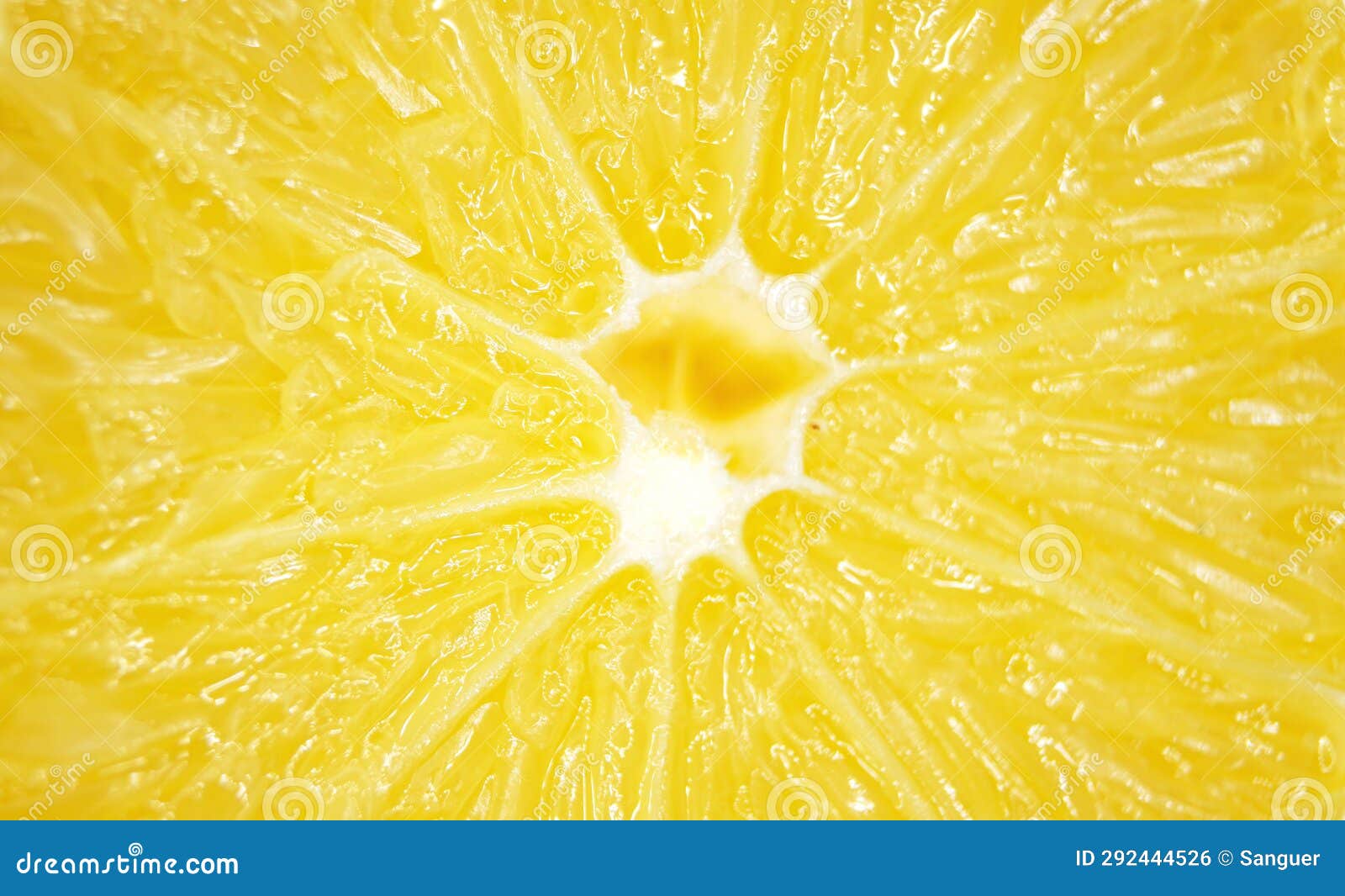 Macro of a lemon slice stock photo. Image of fruits - 292444526