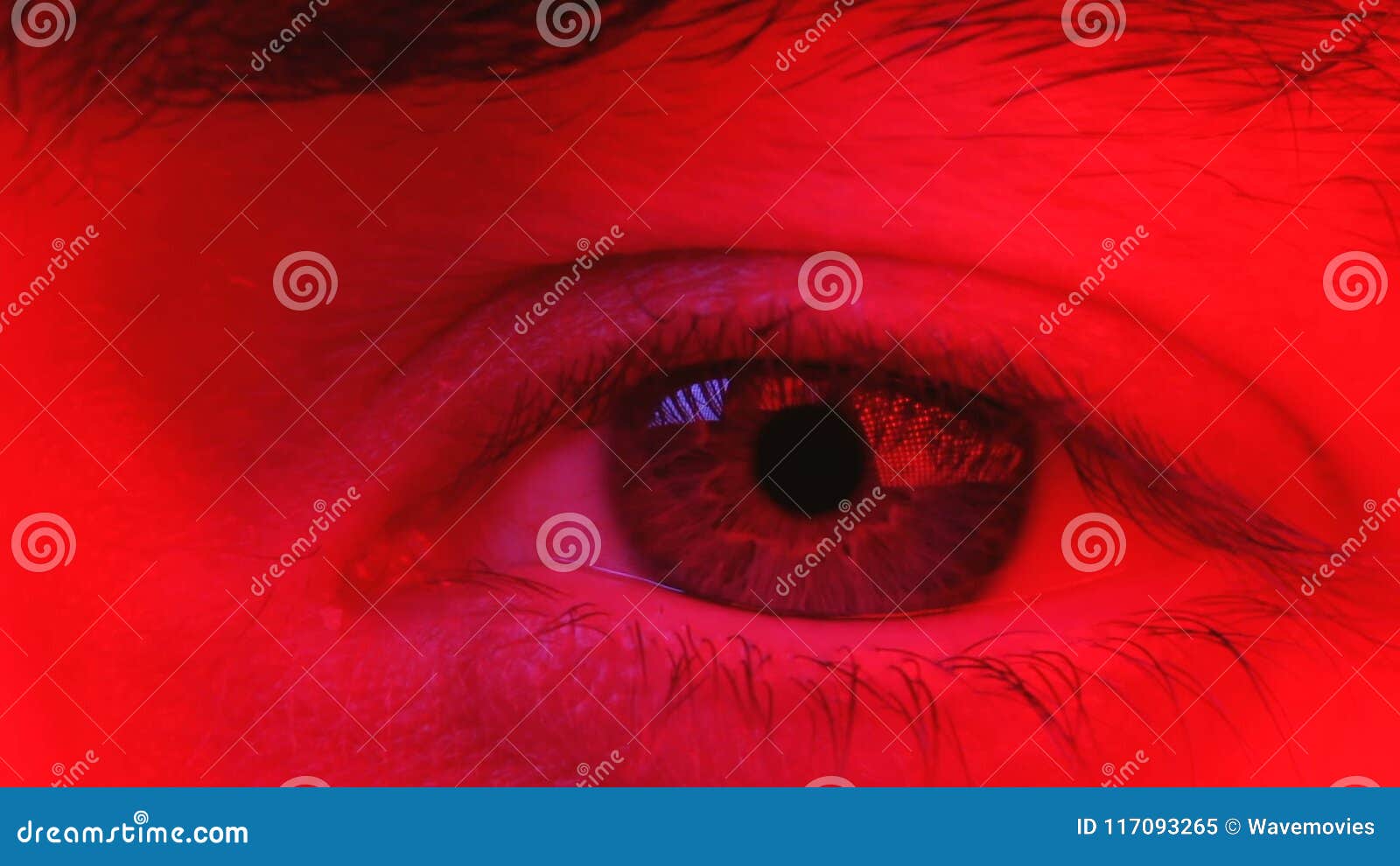 Macro on Man Eye Expressing Serious and Expressionless Expression Stock ...