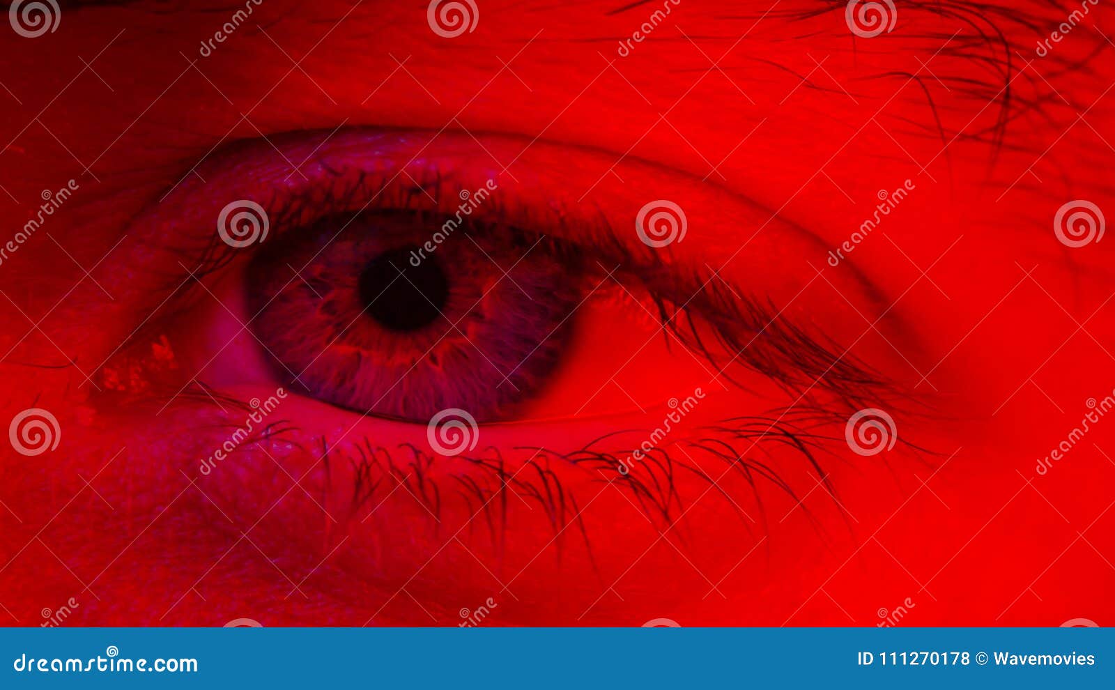 Macro on Man Eye Expressing Serious and Expressionless Expression Stock ...