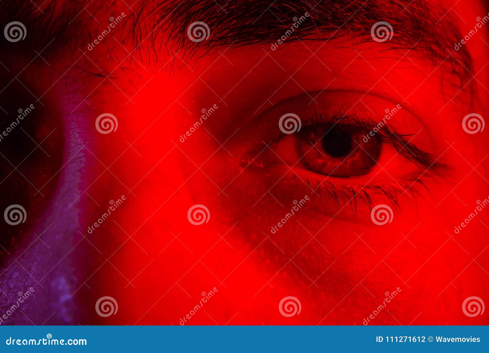 Macro on Man Eye Expressing Serious and Expressionless Expression Stock ...