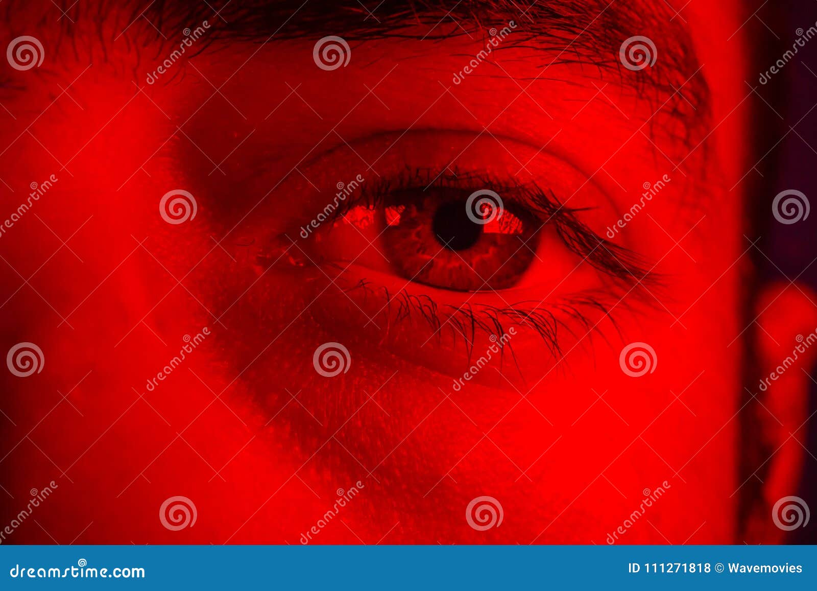 Macro on Man Eye Expressing Serious and Expressionless Expression Stock ...