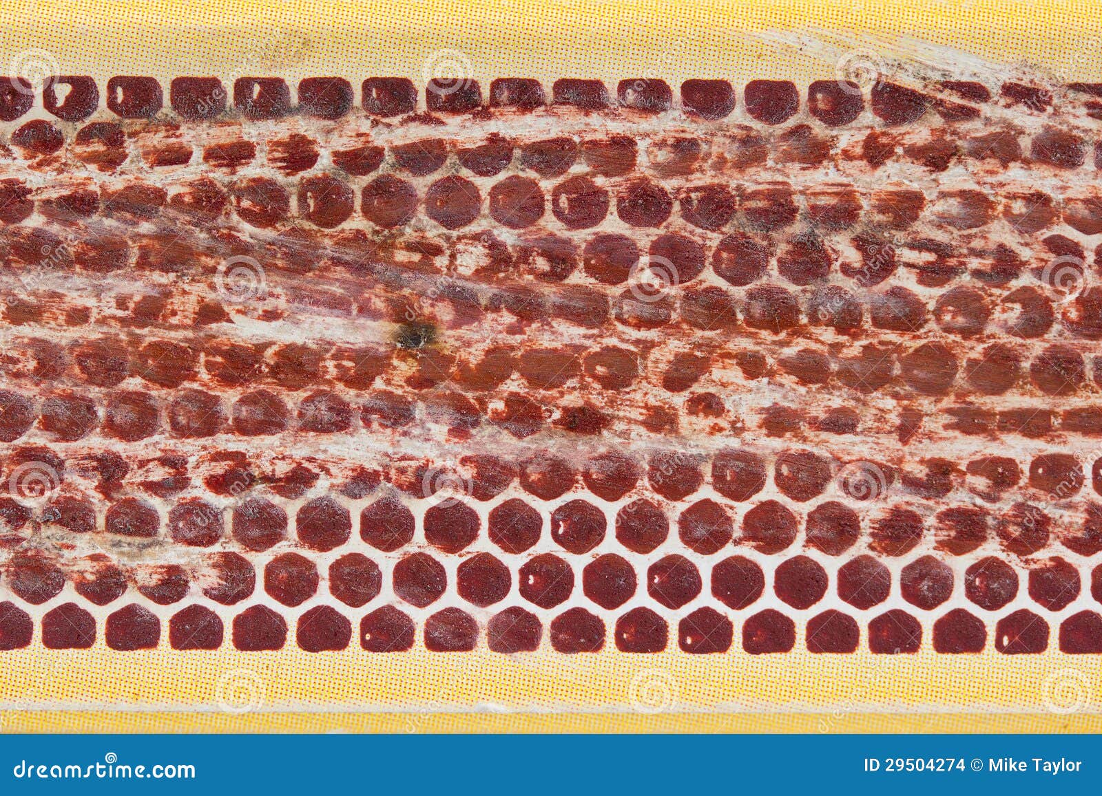 Macro Matchbox Strip stock photo. Image of perspective - 29504274