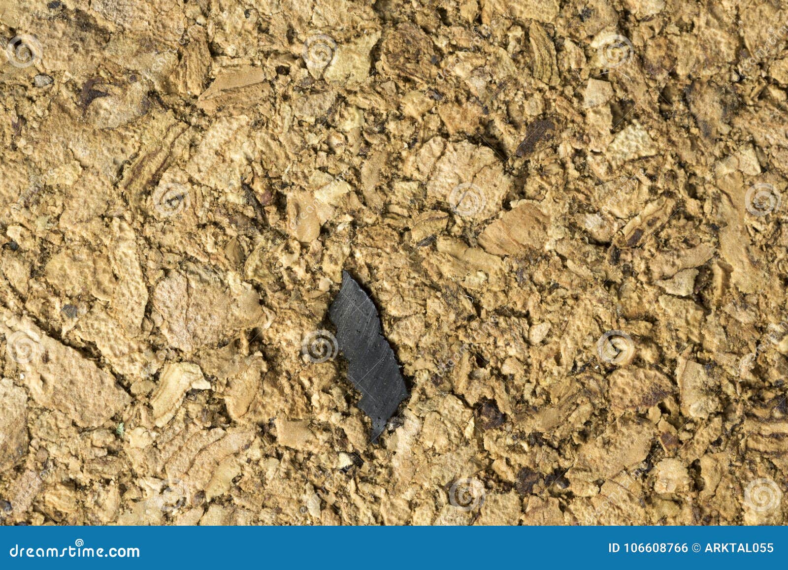 Pressed Cork Surface Extreme Macro Close Up Stock Photo - Image of ...