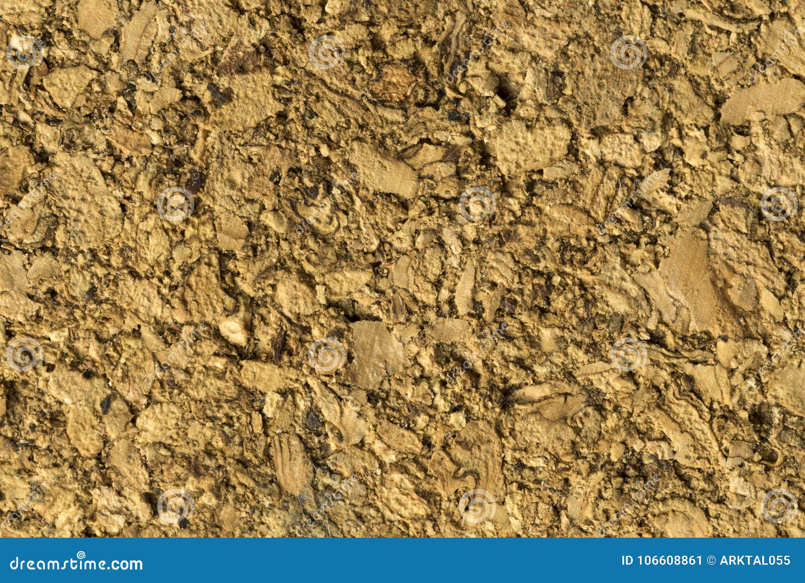 Pressed Cork Surface Extreme Macro Close Up Stock Image - Image of ...