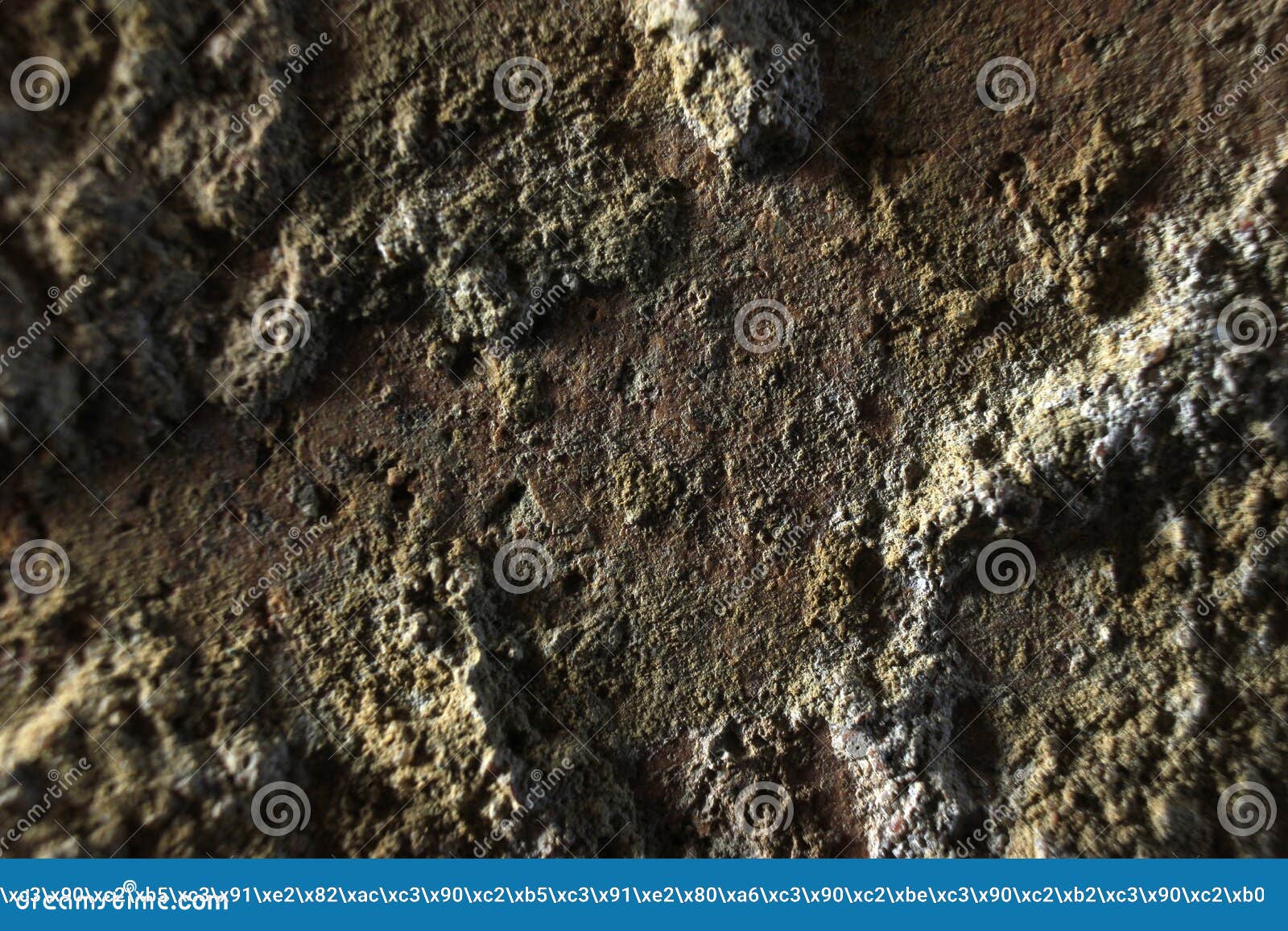 Macro Metal Plate with Rust Stock Image - Image of metal, rust: 178665015