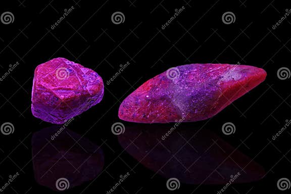 Macro Mineral Stone Ruby Under Ultraviolet Light on a Black Background ...