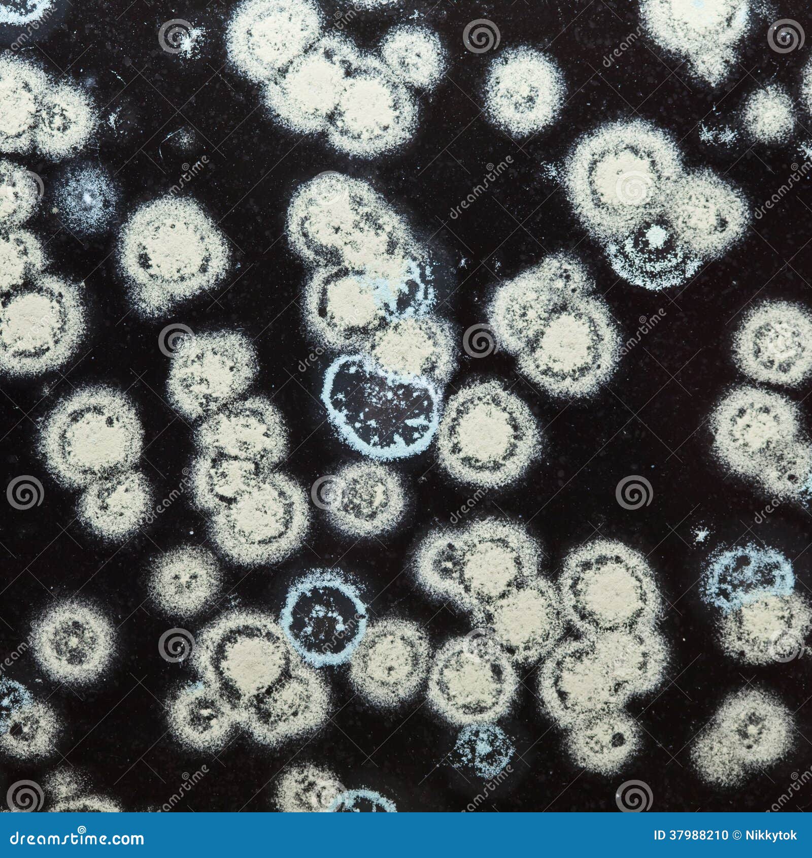 Macro of mold stock photo. Image of food, microscopic - 37988210