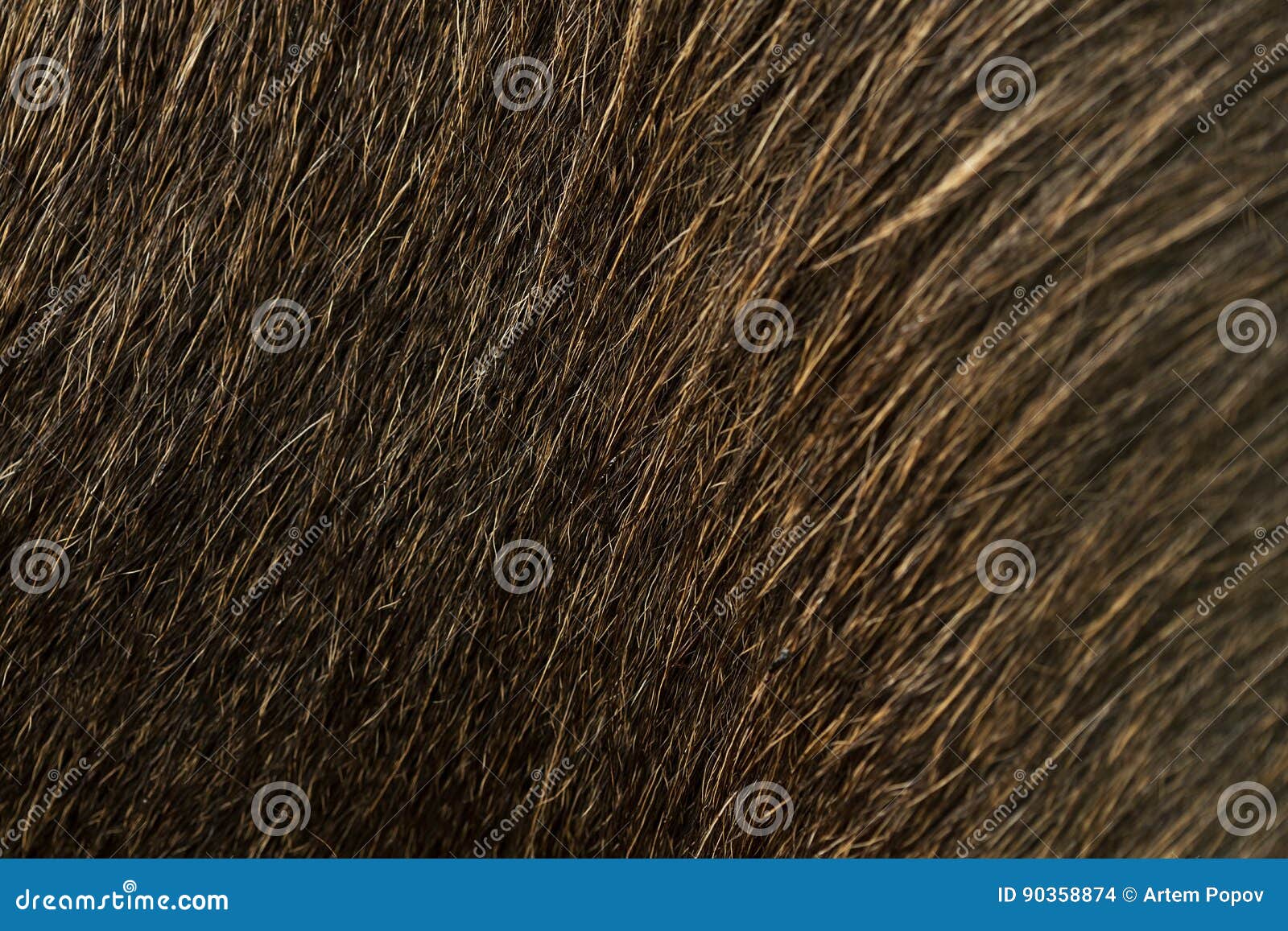 Macro Moose Fur Texture in Angle Stock Photo - Image of nature, deer ...