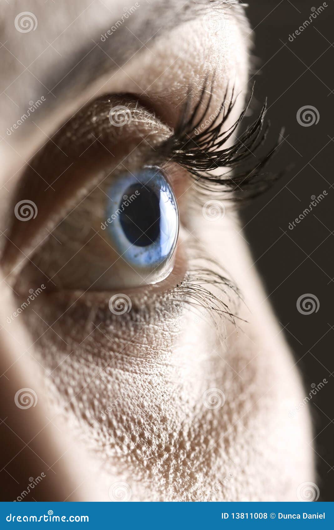 Macro nos olhos azuis foto de stock. Imagem de vista - 13811008