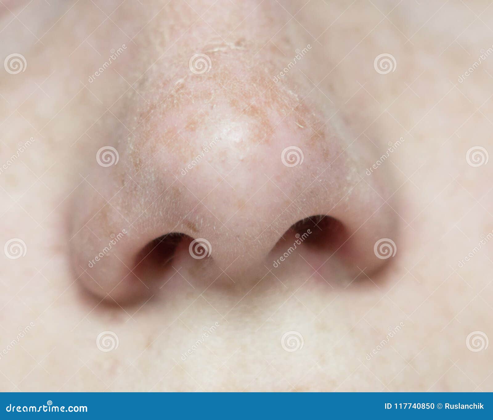 Macro of nose stock photo. Image of person, human, nostril - 117740850