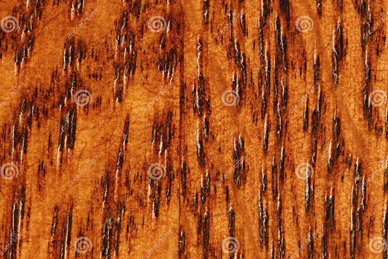 Macro of Oak Wood Grain stock image. Image of pattern - 5607319