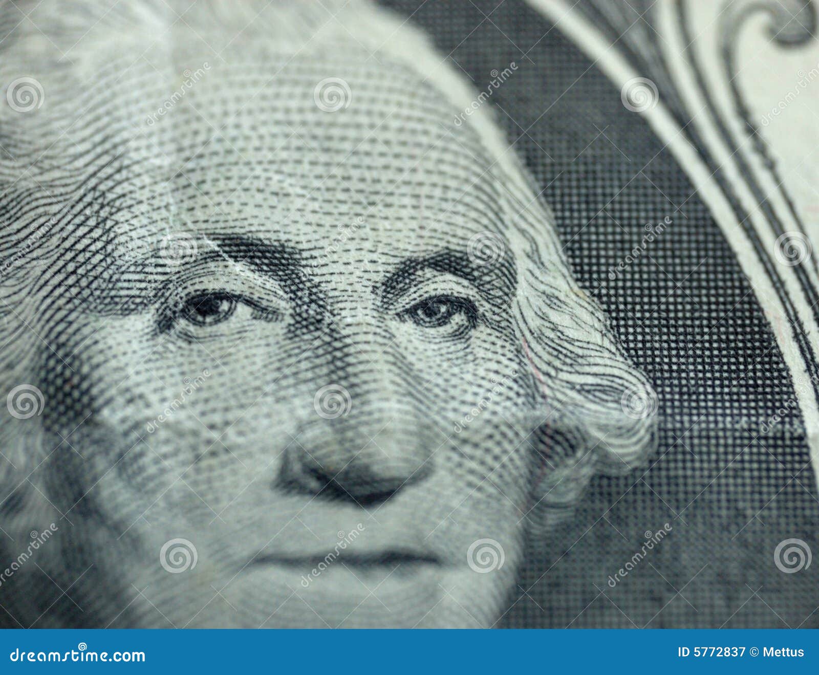 955 One Dollar Eye Stock Photos - Free & Royalty-Free Stock Photos from ...