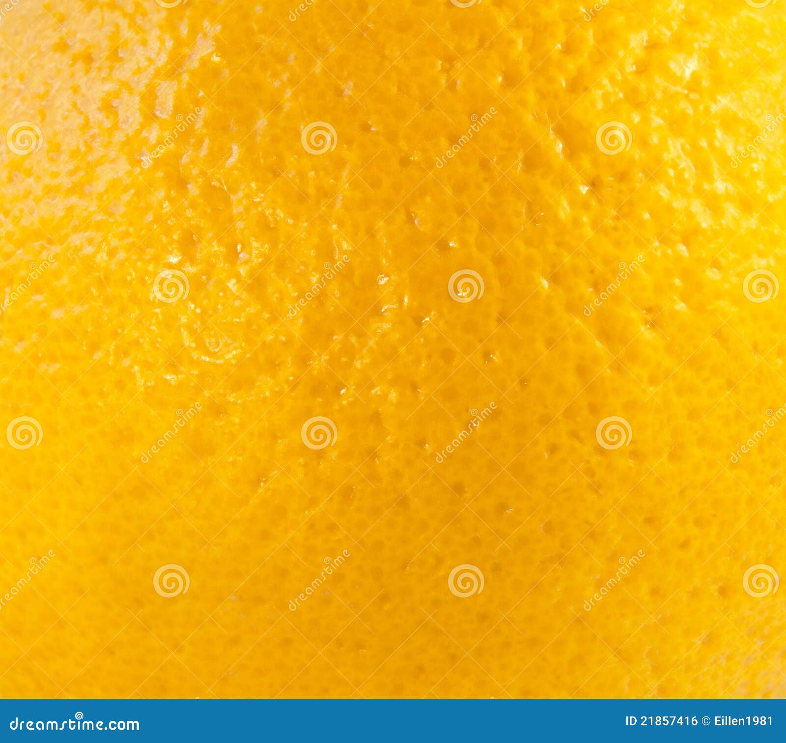 Macro of Orange Fruit Texture Stock Photo - Image of fresh, juice: 21857416