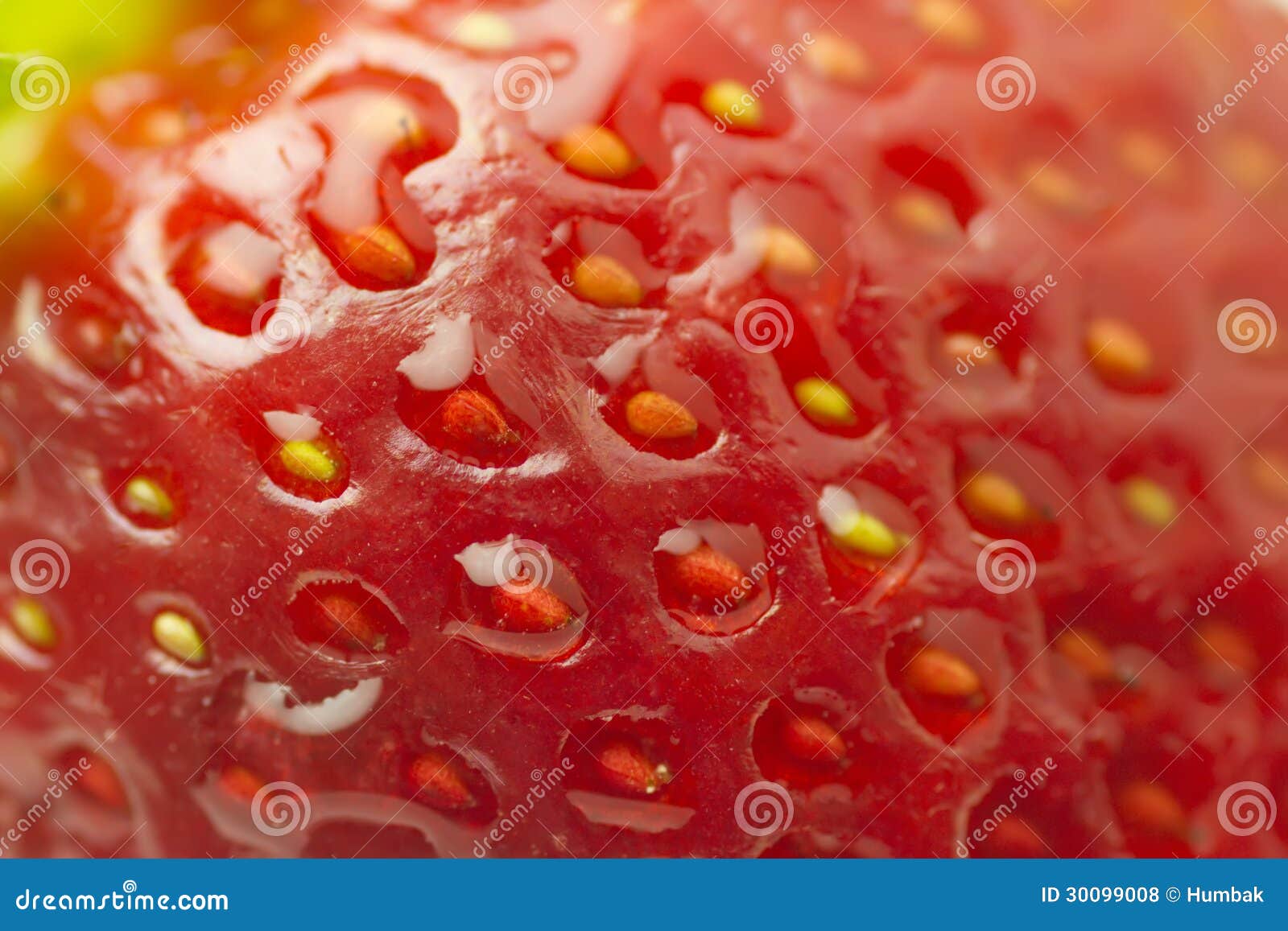 Macro organic strawberry stock photo. Image of natural - 30099008