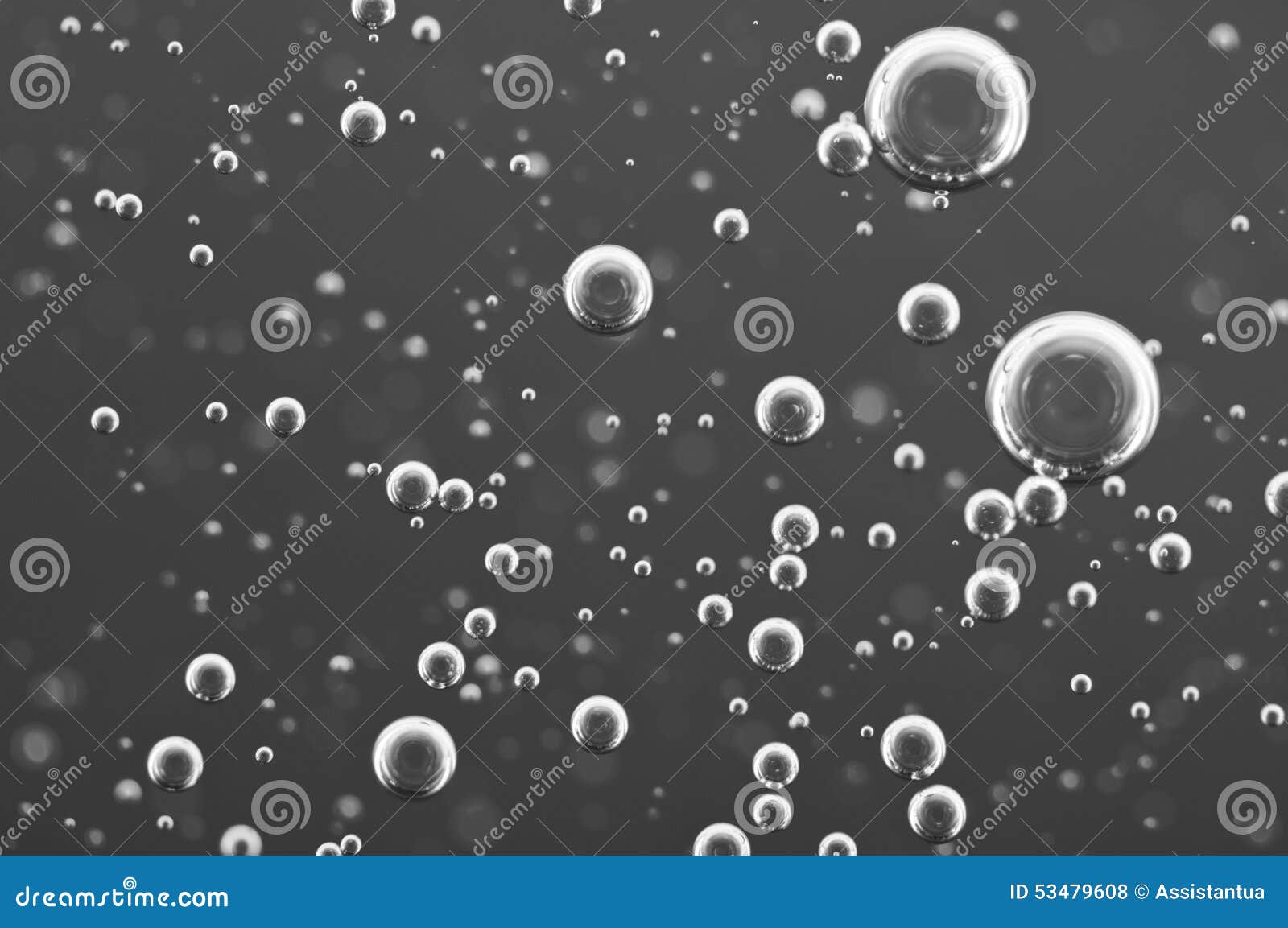 Macro Oxygen Bubbles in Water on Black White Background Stock Photo ...