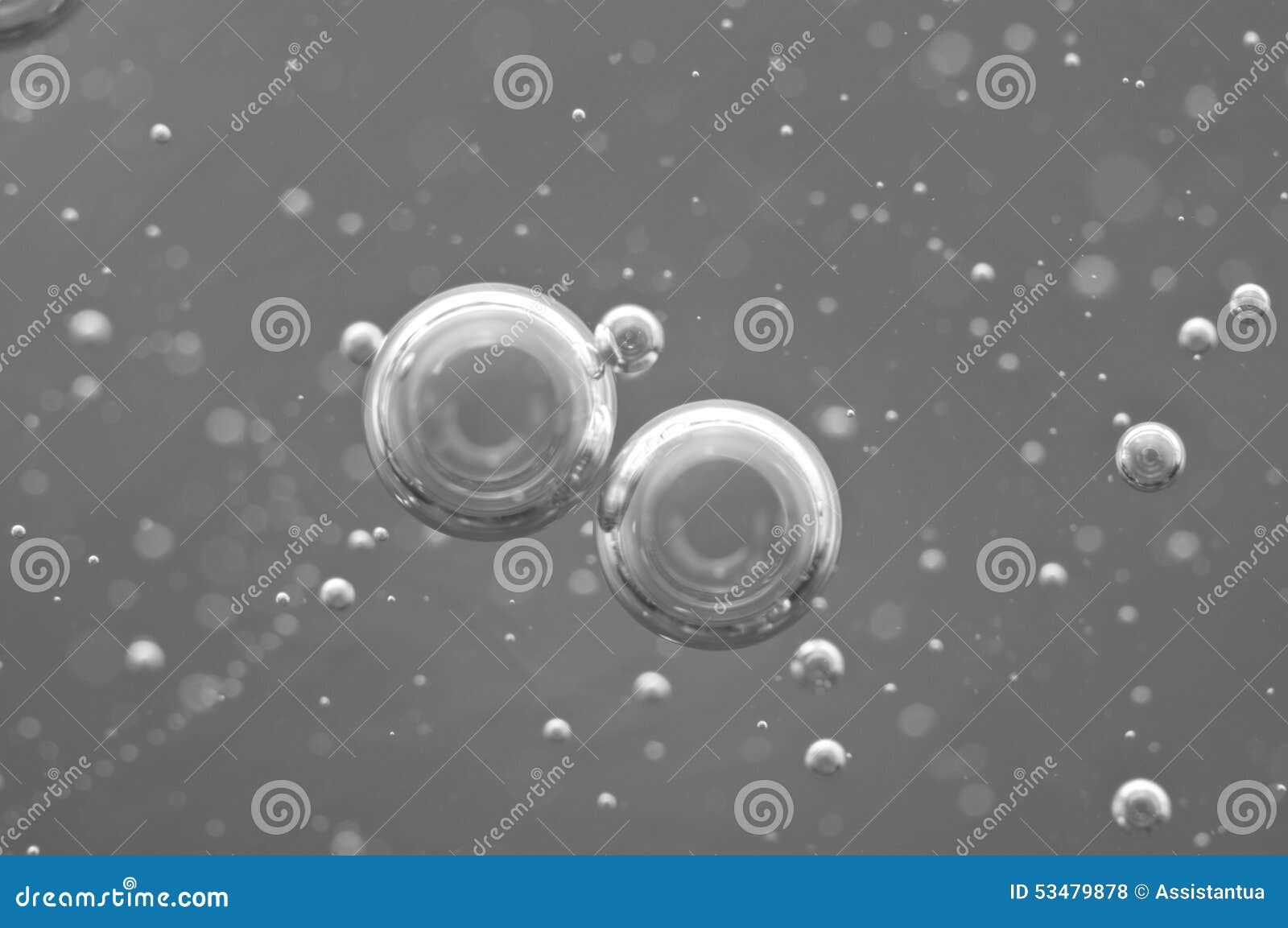 Macro Oxygen Bubbles in Water on Black White Background Stock Photo ...