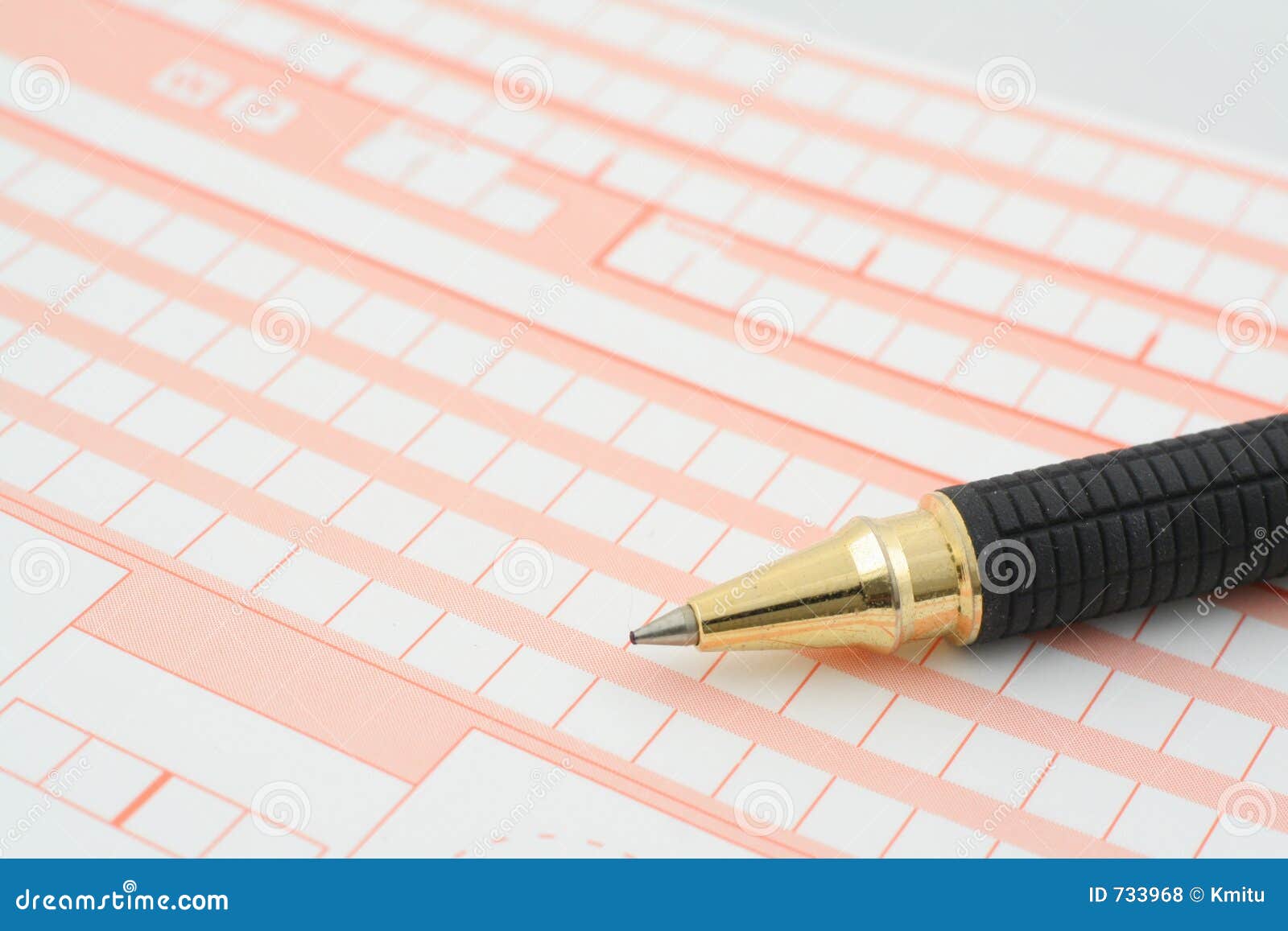 Macro Of A Pen Lying On A Blank Form Full Of Empty Boxes Stock Photo ...