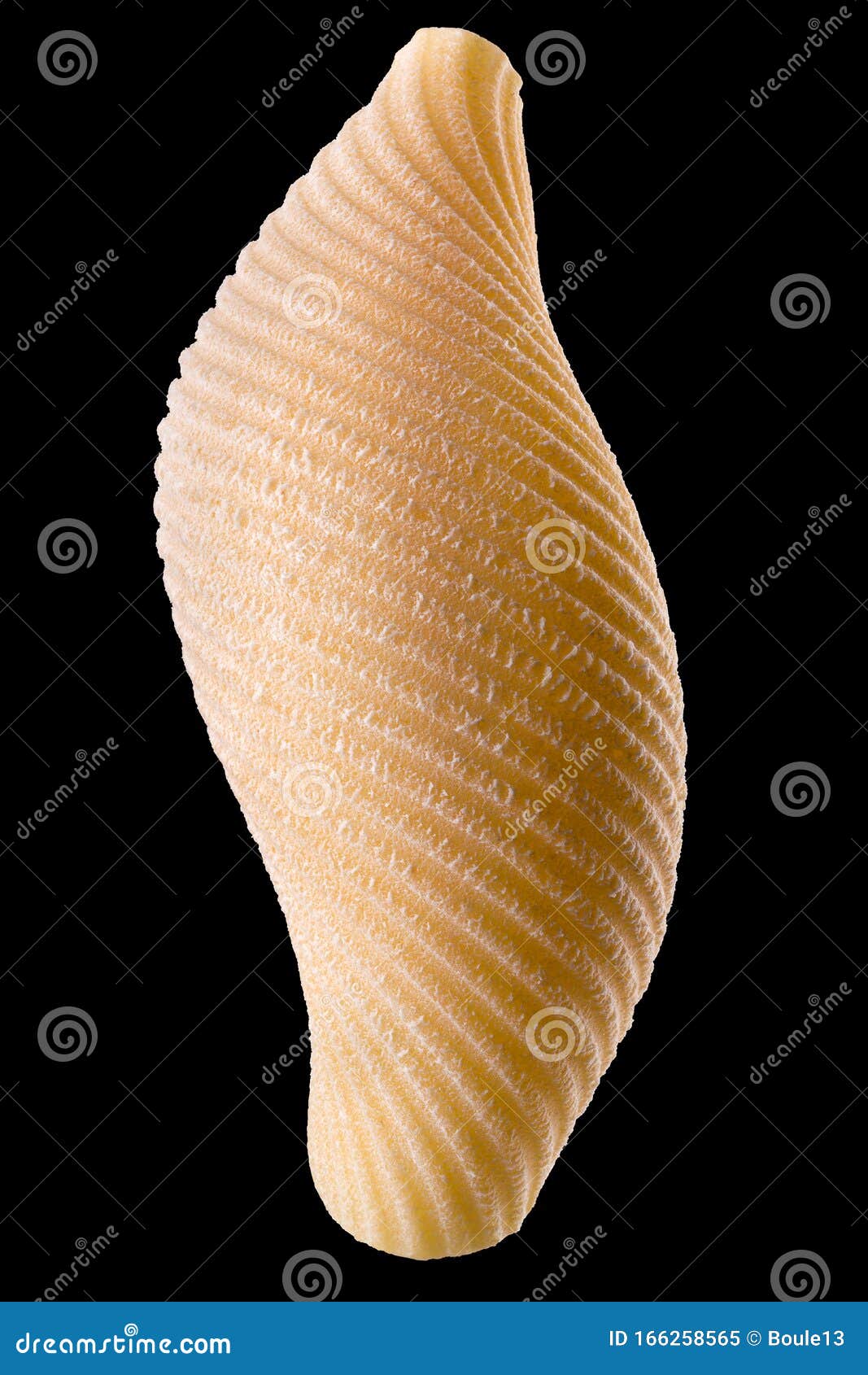 Macro Photo of Conchiglie Pasta Shell Isolated on Black Background ...