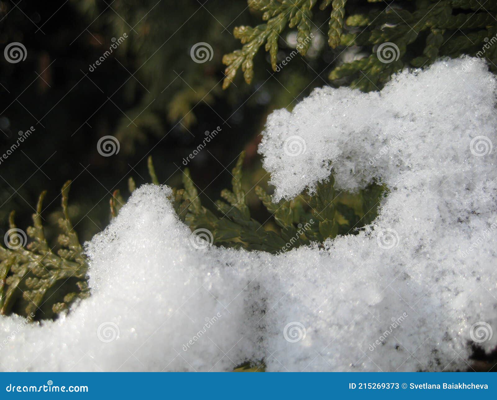 Macro Photo with Decorative Background Textures of White Snowflakes on ...