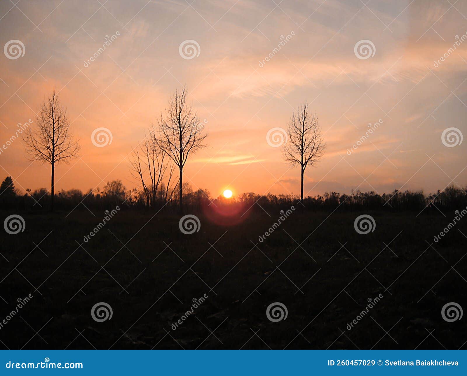 Macro Photo with Decorative Natural Background of the Sky Perspective ...