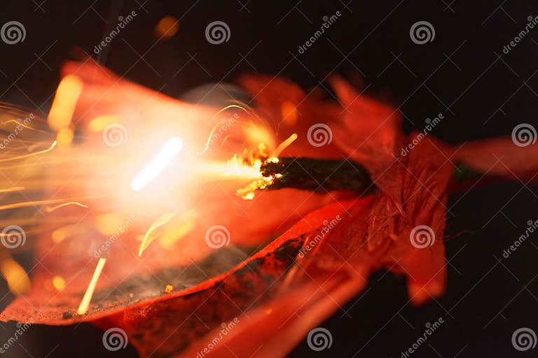 Macro Photo of an Exploding Firecracker Stock Image - Image of blaze ...