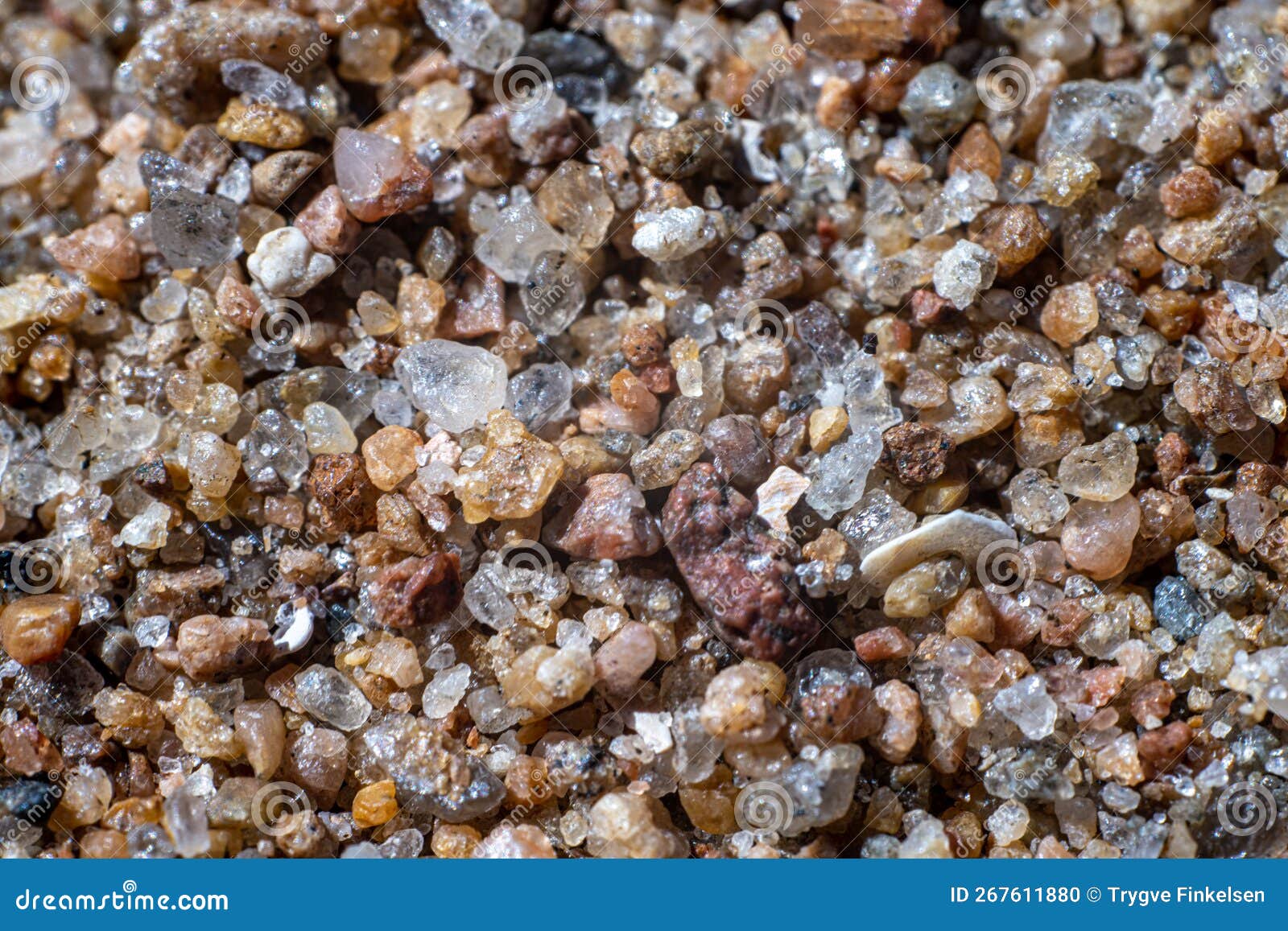 Macro Photo of Fine Grains of Sand on a Beach.. Stock Photo - Image of ...