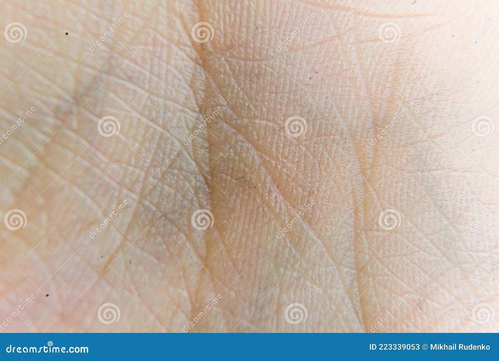 Macro Photo of a Human Skin Texture B Stock Image - Image of body ...