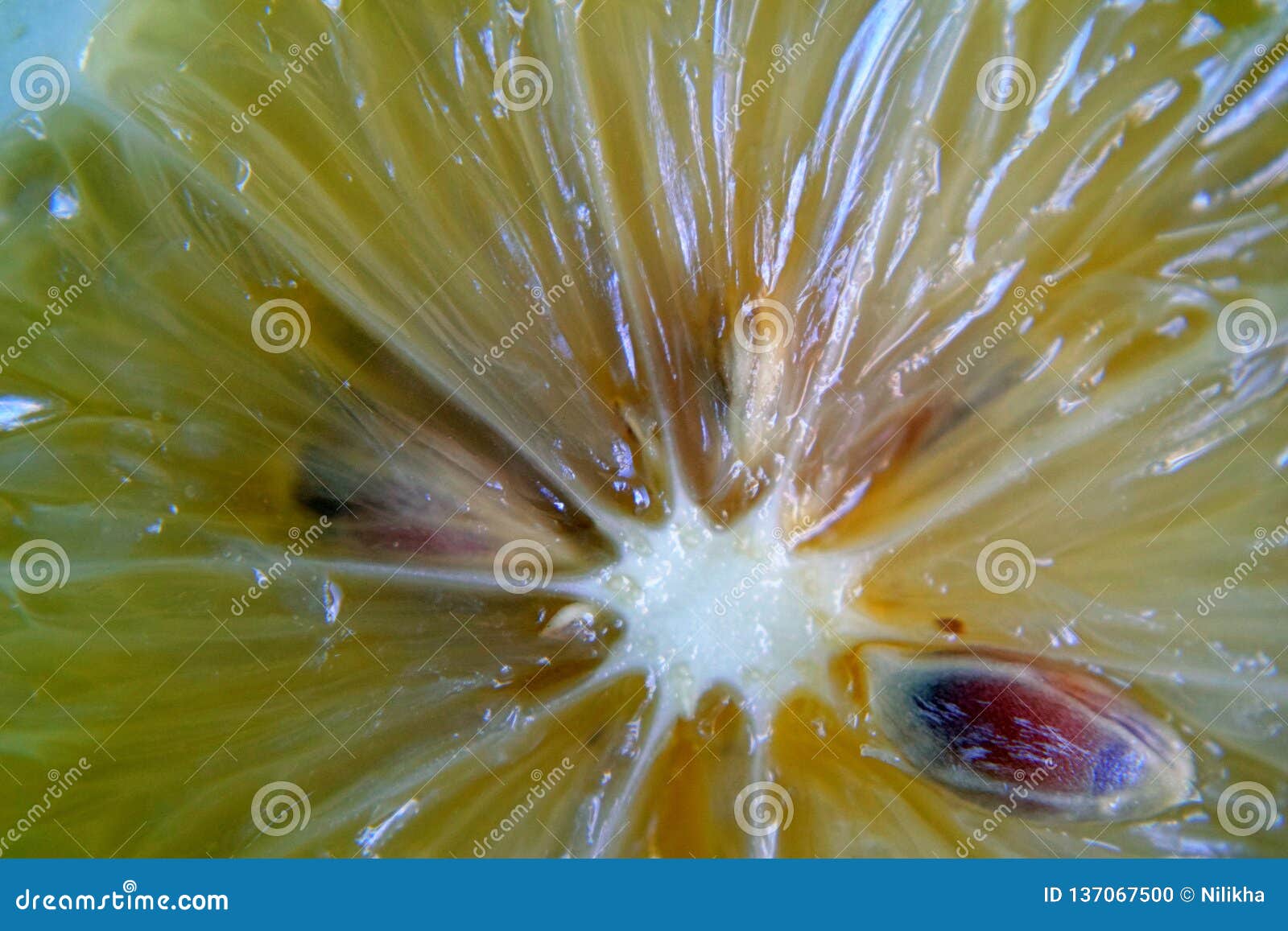 Lemon inside stock photo. Image of detailed, citrus - 137067500
