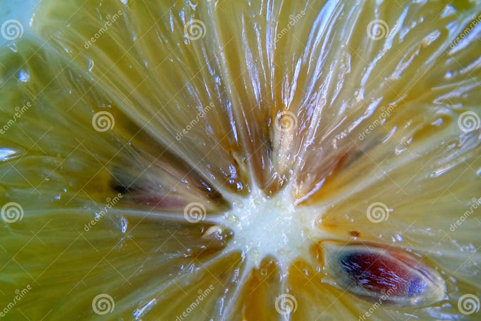 Lemon inside stock photo. Image of detailed, citrus - 137067500