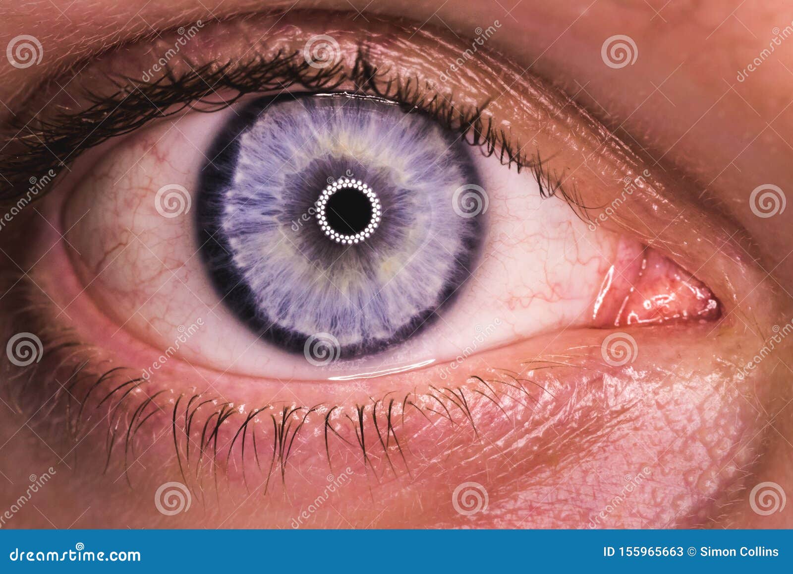 Macro Photo of a Male`s Eye. it is a Bright Blue Colour Stock Image ...