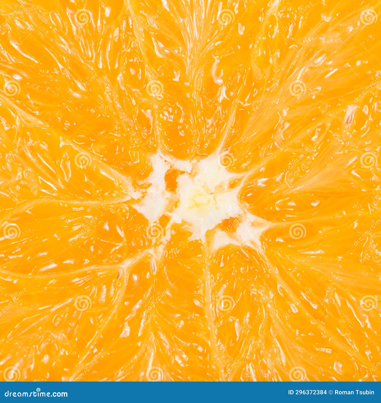 Macro Photo of an Orange Fruit Stock Photo - Image of circular, fresh ...