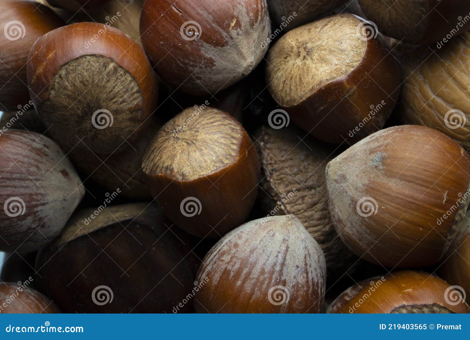Part of Hazelnuts on a Pile Stock Image - Image of macro, beautiful ...